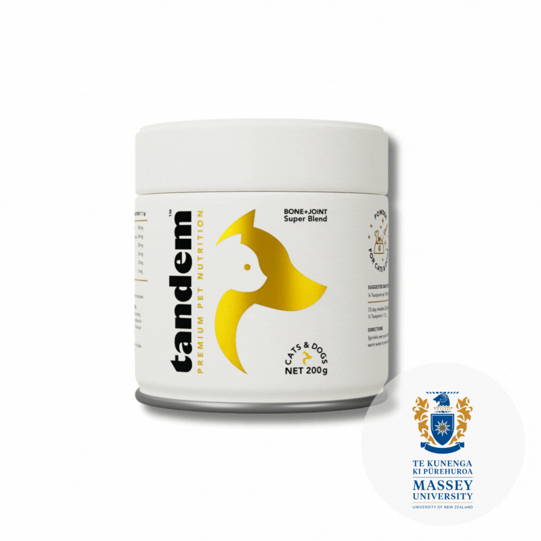Tandem Super Foods - Bone + Joint Super Blend Powder 200gm – Pet ...