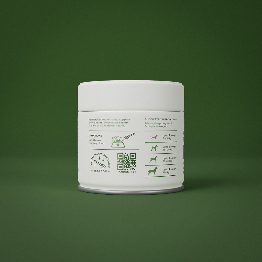 Tandem Super Foods - Organic Kelp Powder — Pet Products - New Zealand